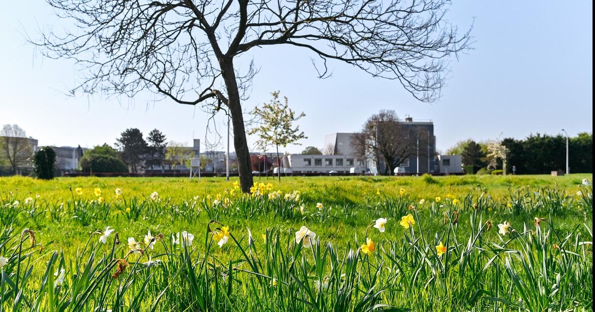 Le SEDIF engagé dans la transition écologique